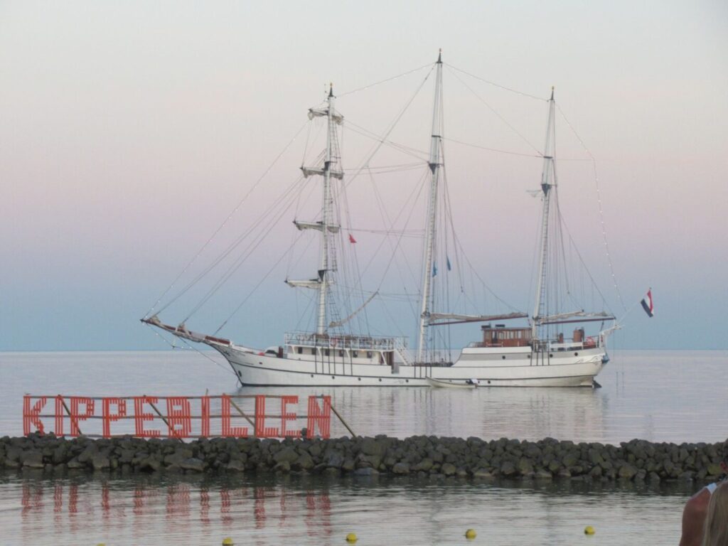 Voor alle kippen, haantjes, hennen en alles daartussenin, Kippebillen ...